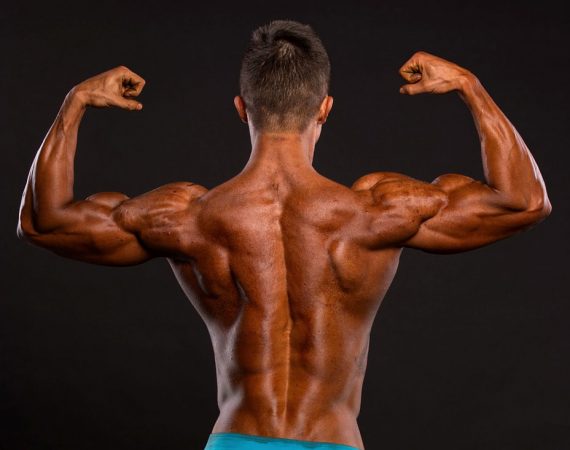 Anatomie Muskel - Wie deine Muskeln aufgebaut sind